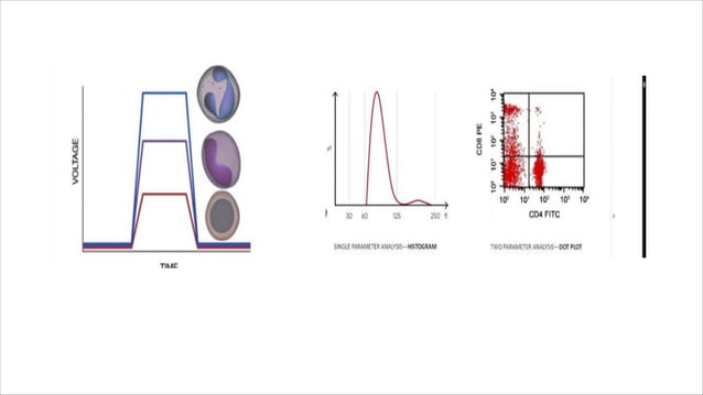 flow cytometer definition, principal, requirements procedure and ...