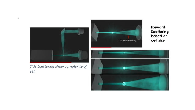 flow cytometer definition, principal, requirements procedure and ...