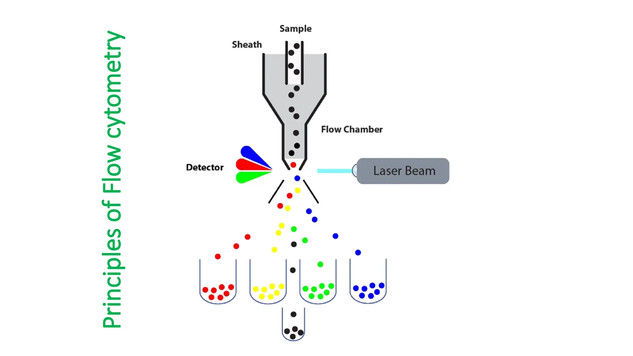 principle and working flow cytometer.pptx