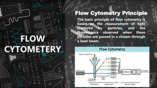 FLOW CYTOMETERYA laser beam illuminates the particles as they pass ...