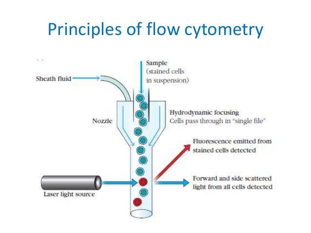 Flowcytometery