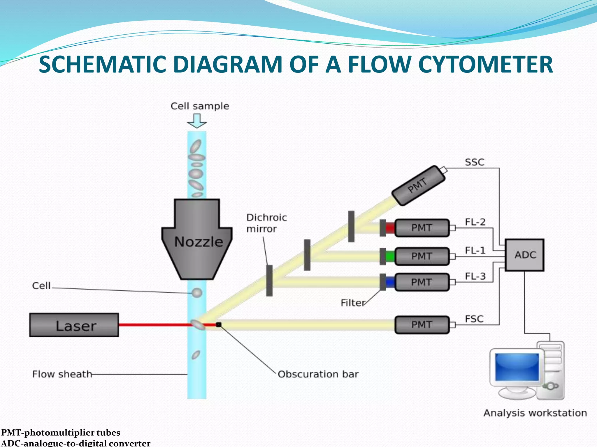 Flow cytometry | PPTX