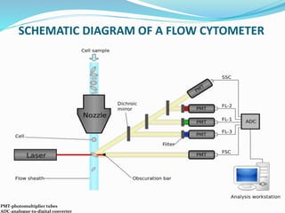 Flow cytometry | PPTX