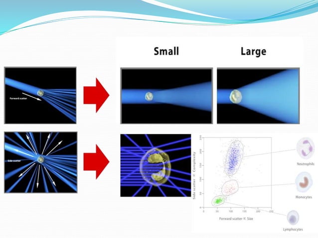 Flow cytometry | PPTX