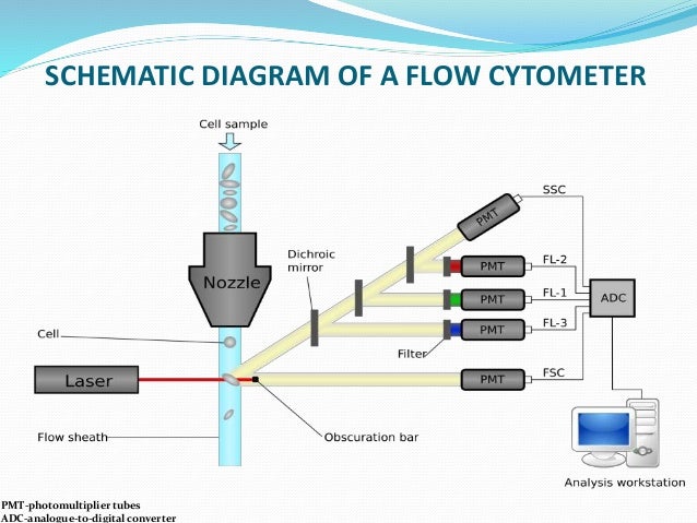 Flow cytometry