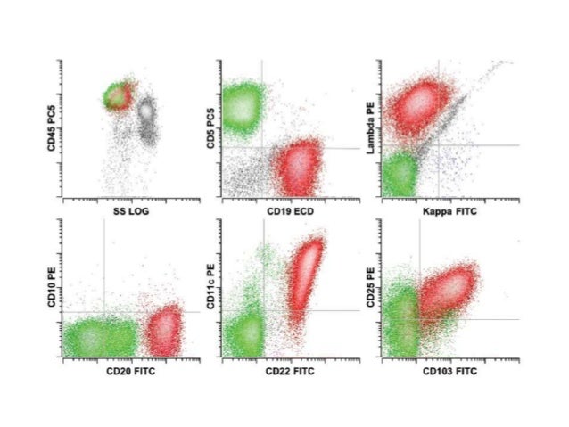 Flow cytometry