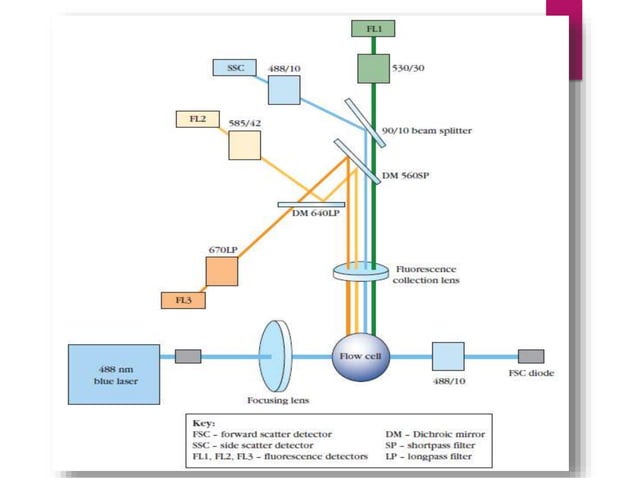 Flow cytometry: Principles and Applications | PPTX