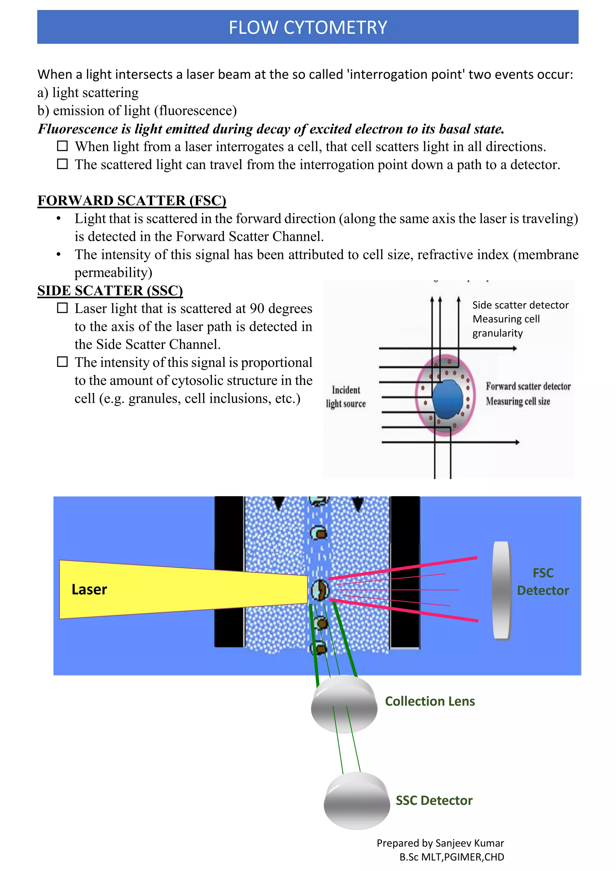 Flow cytometry | PDF
