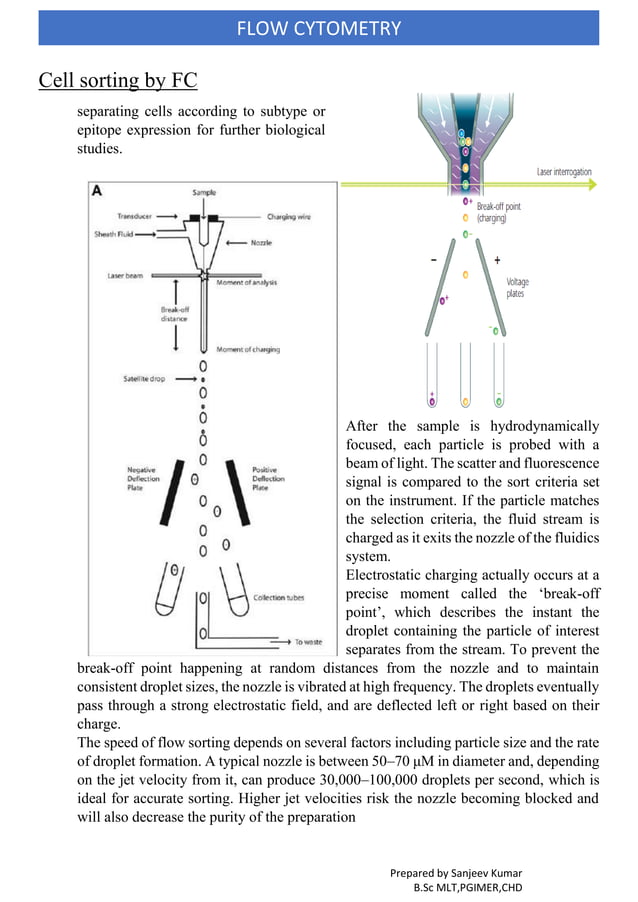 Flow cytometry | PDF