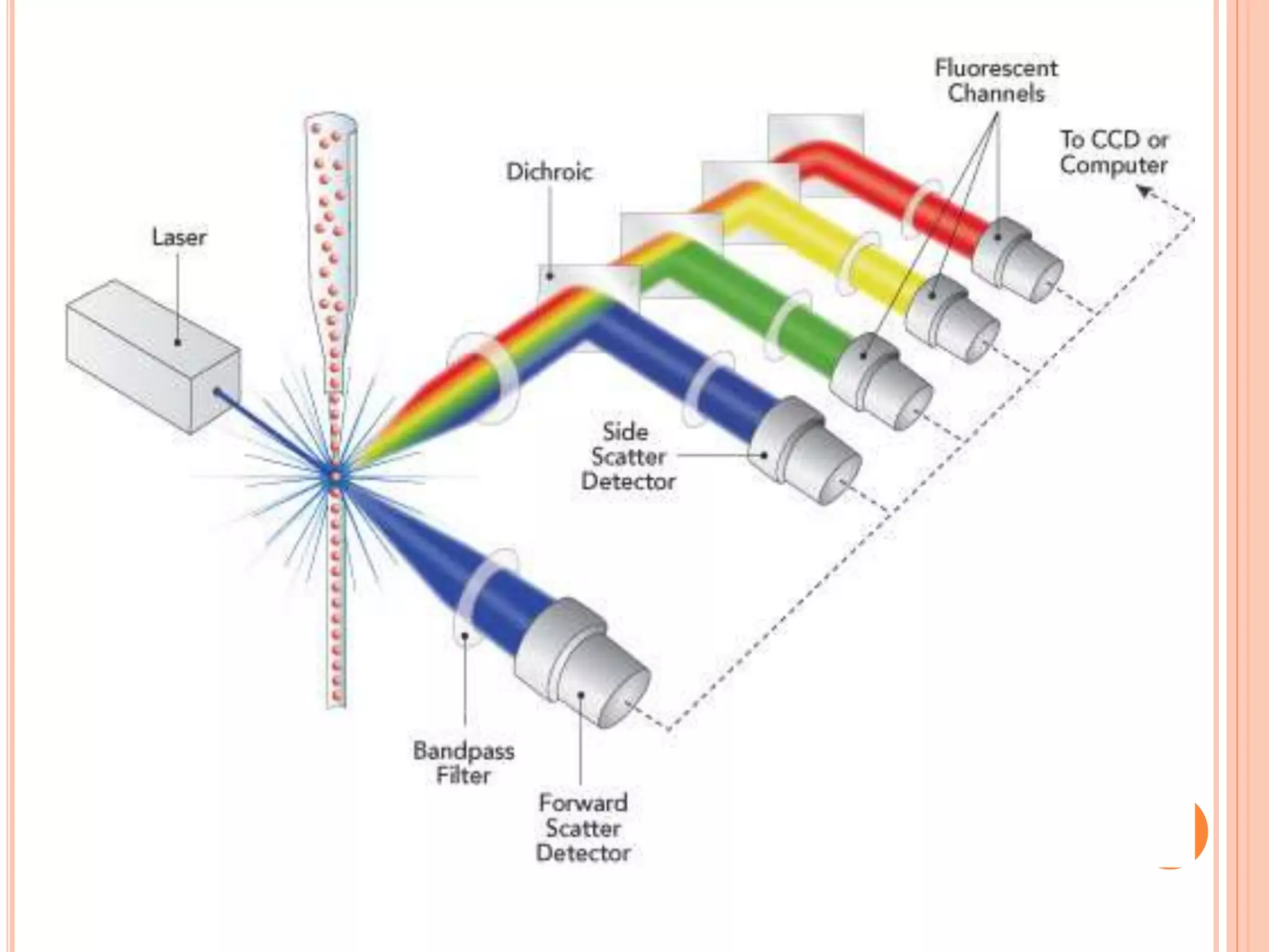 Flow cytometry and fluorescence activated cell sorting (FACS) | PPTX