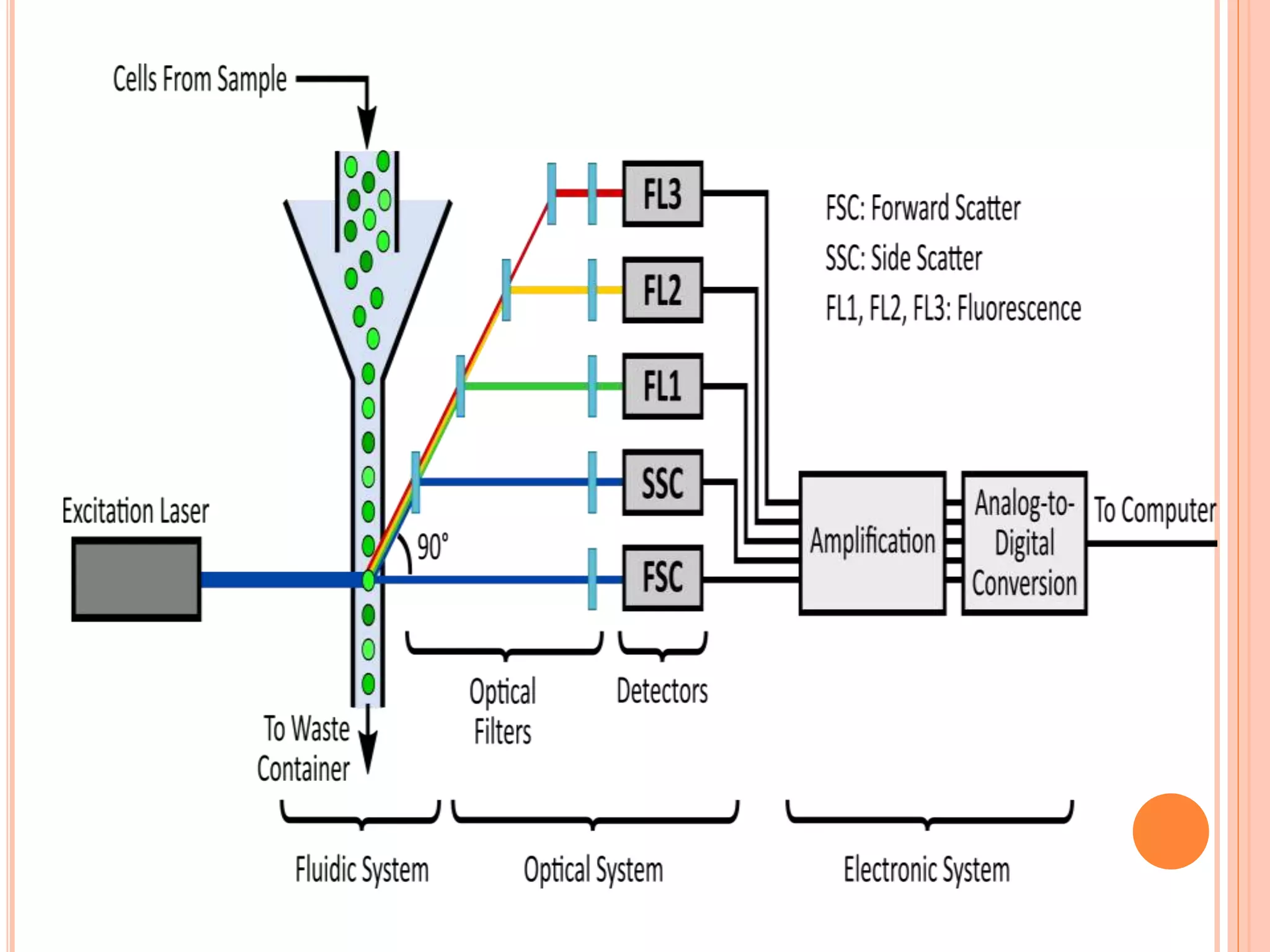 Flow cytometry and fluorescence activated cell sorting (FACS) | PPTX