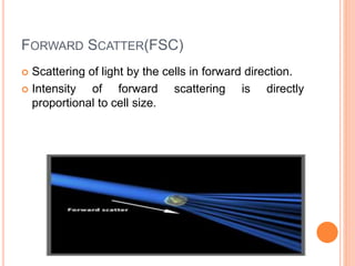 Flow cytometry and fluorescence activated cell sorting (FACS) | PPTX