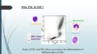 Flow cytometry | PPTX