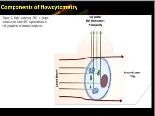 Flowcytometry | PPTX