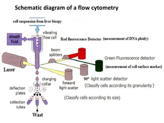Flowcytometry | PPTX