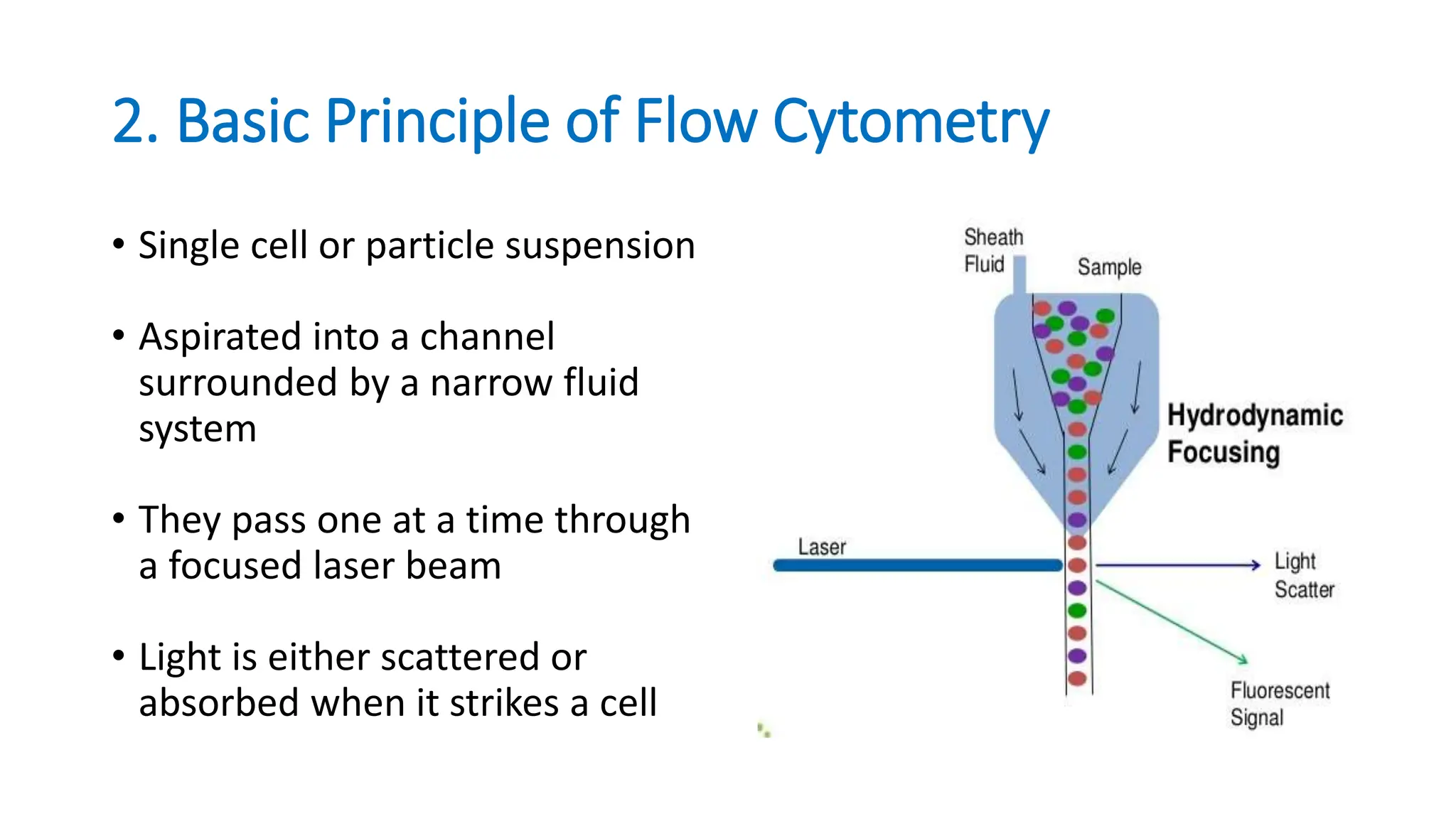 flowcytometry-basic principle of flowcyto | PPTX