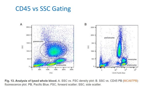 flowcytometry-basic principle of flowcyto | PPT