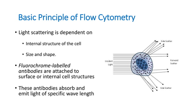 flowcytometry-basic principle of flowcyto | PPT