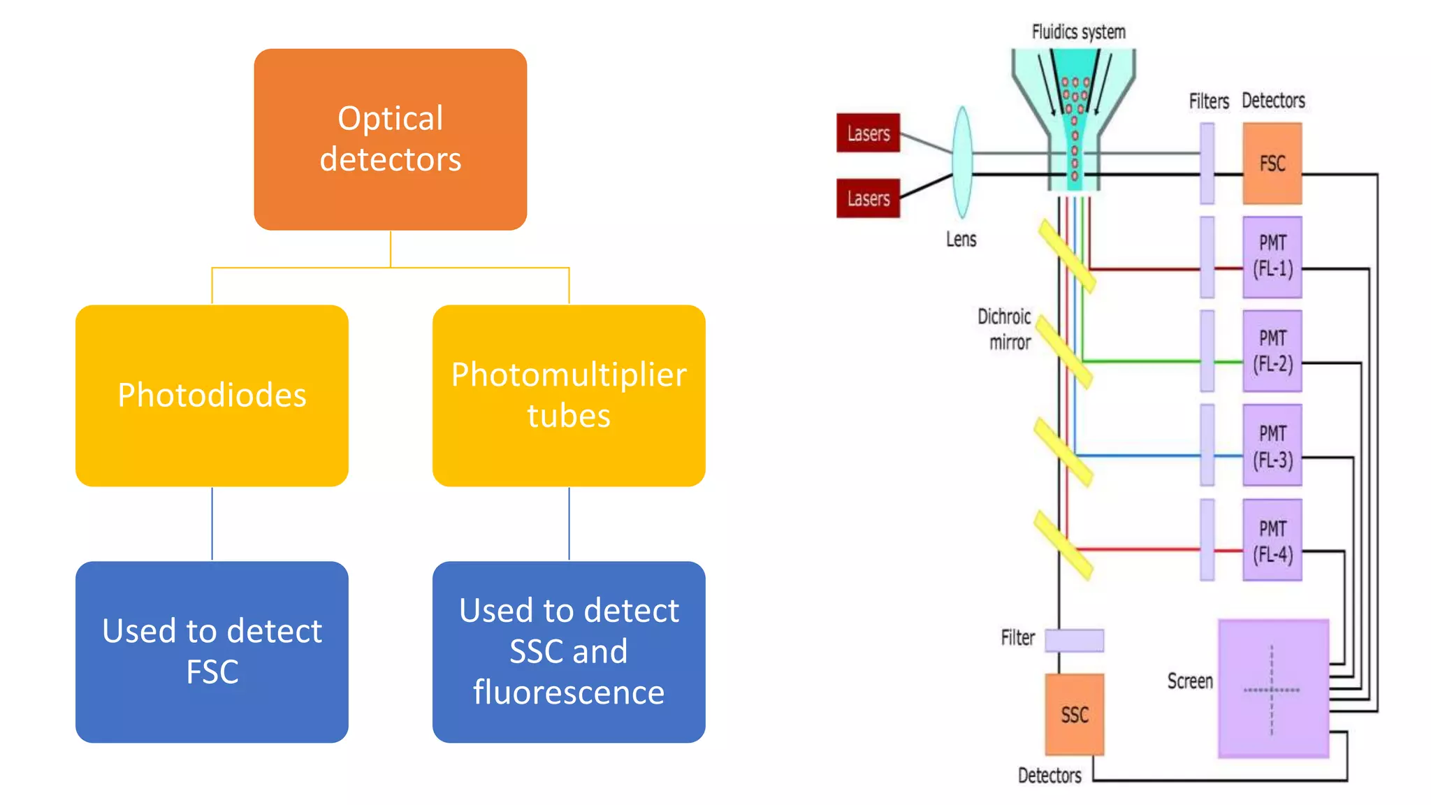 Flow cytometry | PPTX | Biological Sciences | Science
