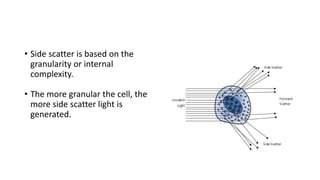 Flow cytometry | PPTX