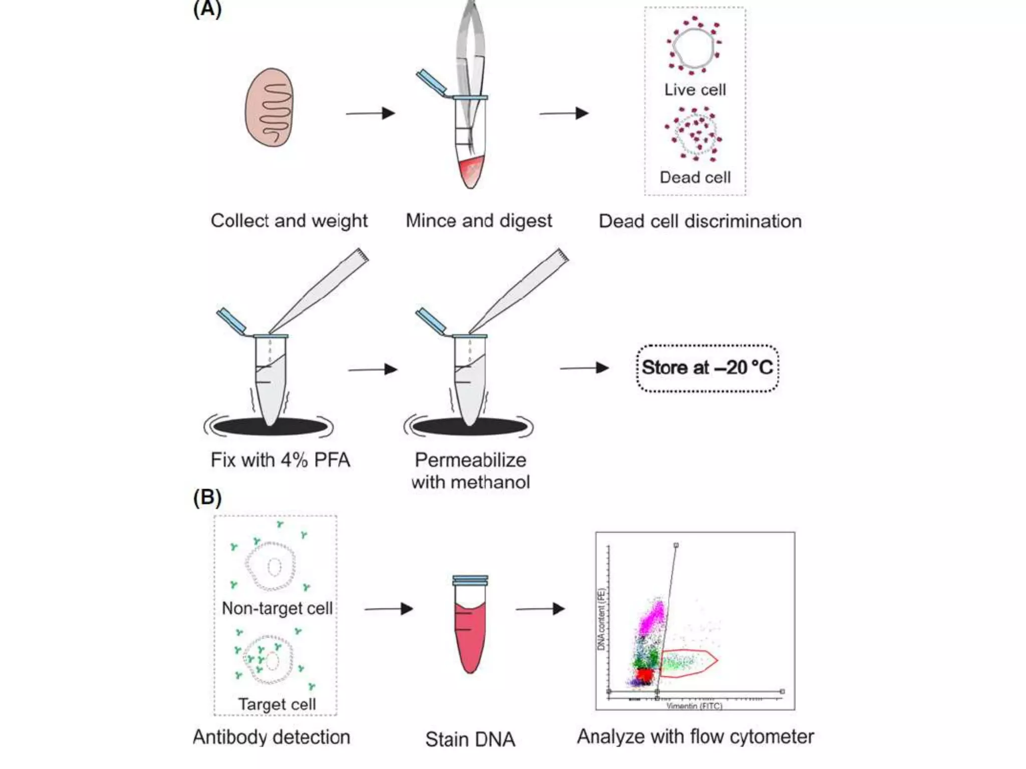 Flow Cytometry (FCM) | PPT