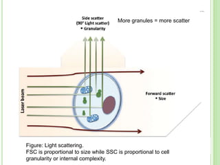 Flow Cytometry (FCM) | PPT