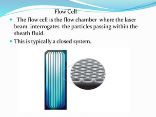 Flow cytometry | PPTX