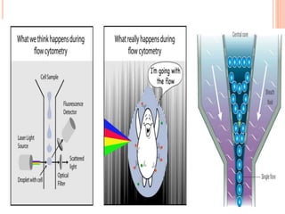 Flow cytometry by kk sahu | PPTX