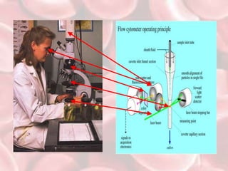 Flow Cytometry | PPTX
