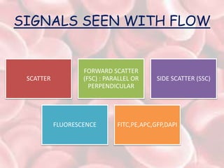 Flow Cytometry | PPT