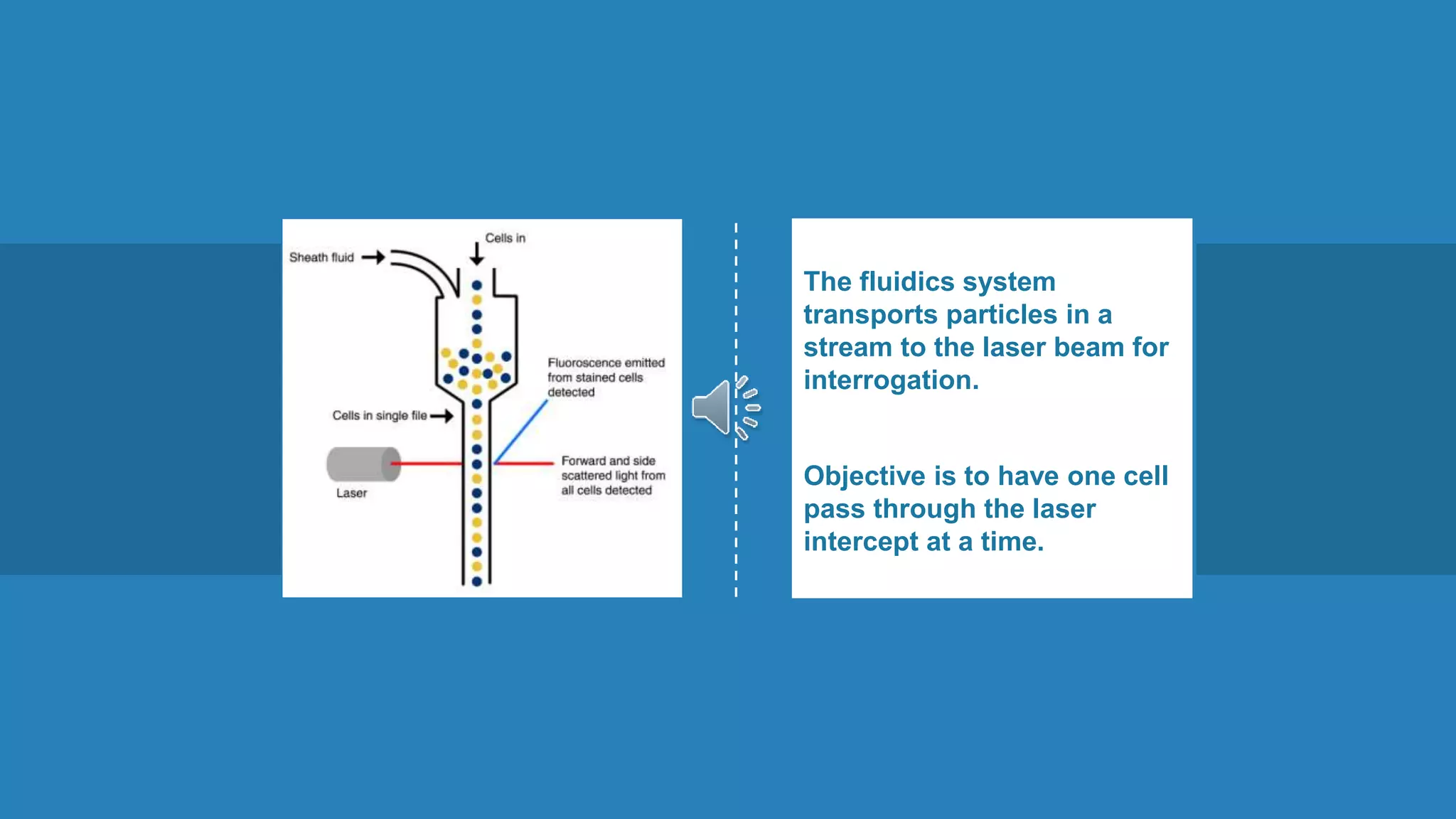 Flow cytometry | PPTX