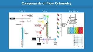 Flow cytometry | PPT