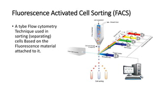 Flow cytometry.pptx