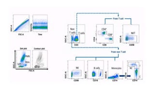 FLOW CYTOMETRY | PPTX