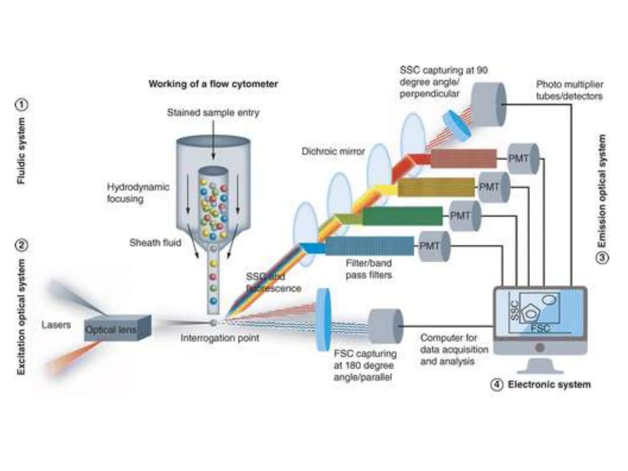 Flow Cytometry for sorting of cells.pptx