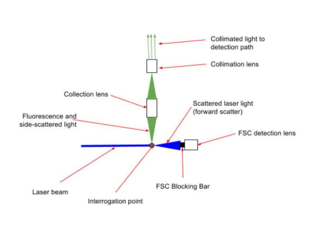 Flow Cytometry for sorting of cells.pptx