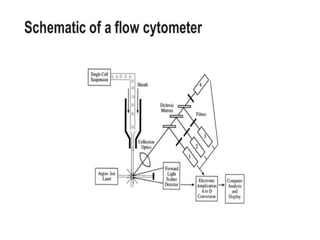 Flow Cytometry.pptx Cytometry refers to the measurement and analysis of cells and cell ...