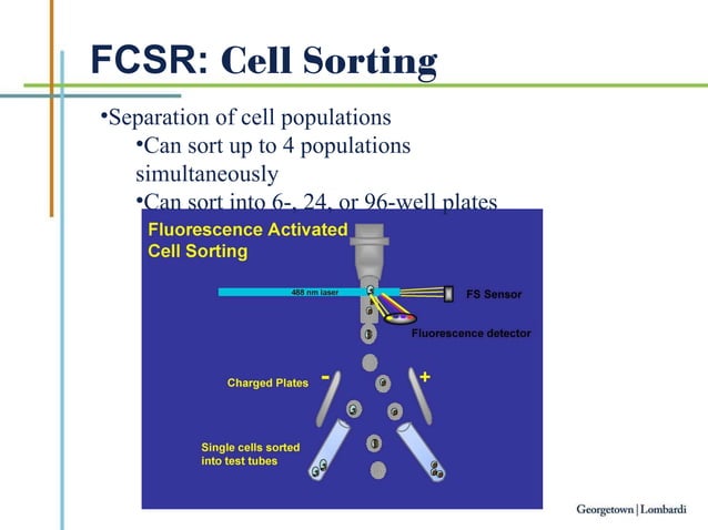 Flow Cytometry/Cell Sorting | PPT