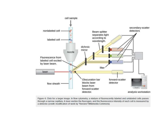 Flow Cytometry 2 Pptx