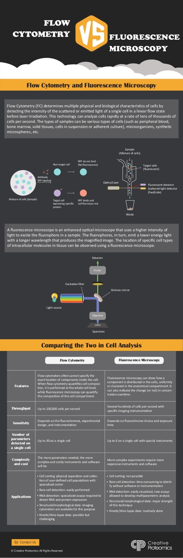 Flow cytometry and fluorescence microscopy | PDF