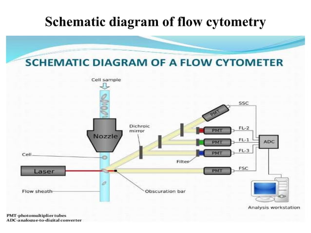 Flow cytometry for cell componenet analysis | PPTX
