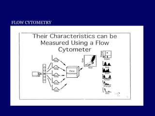 FLOW CYTOMETRYDRM Overview from university | PPT