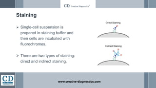 Flow cytometry guide | PPTX