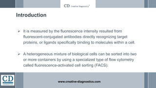 Flow cytometry guide | PPT