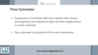Flow cytometry guide | PPT