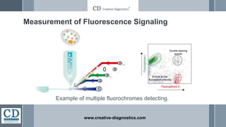 Flow cytometry guide | PPT