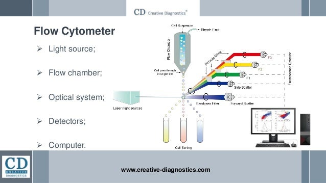 Flow cytometry guide