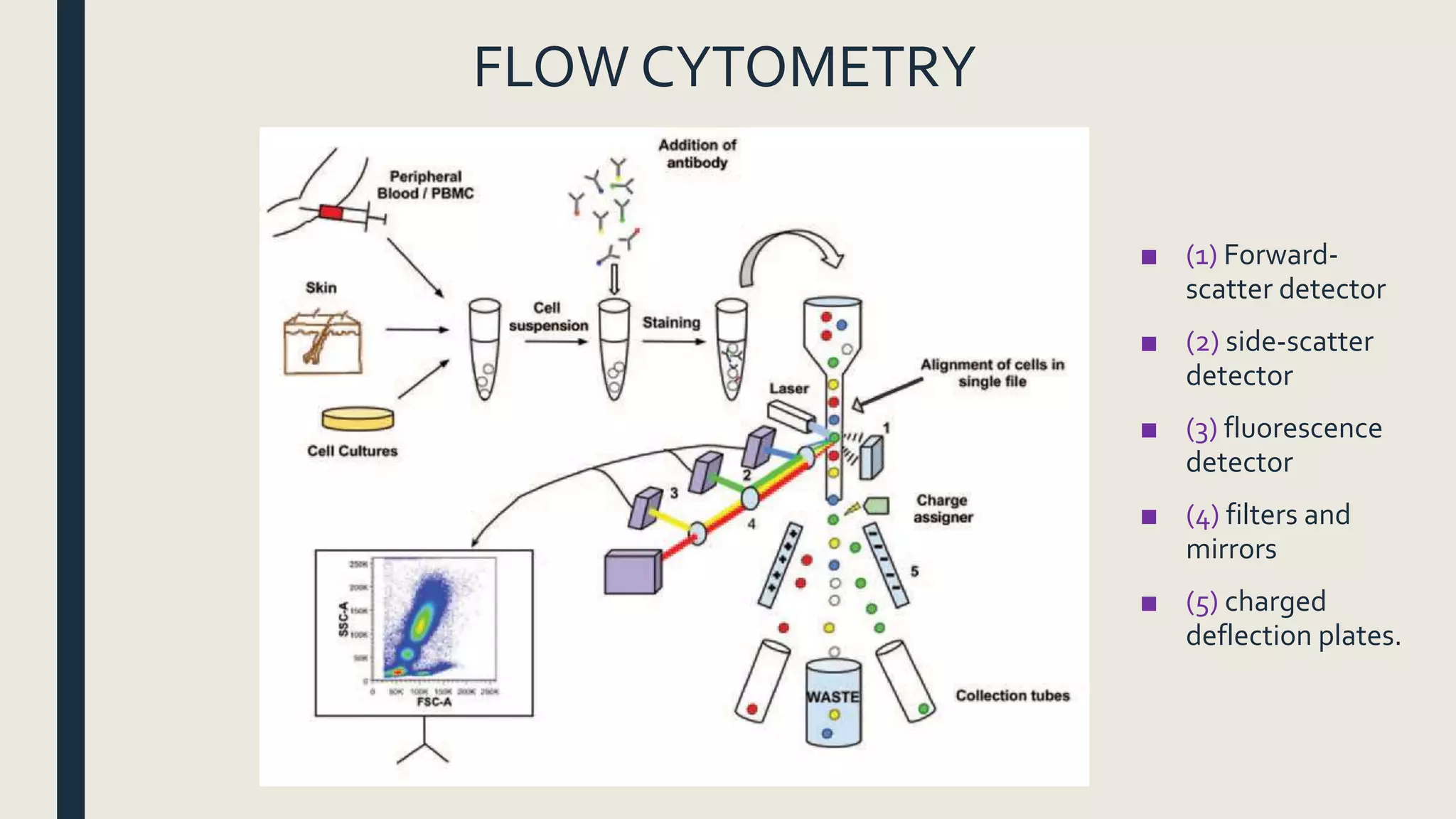 FLOW CYTOMETRY IMMUNOPHENOTYPING-2.pptx