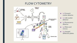 FLOW CYTOMETRY IMMUNOPHENOTYPING-2.pptx