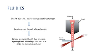 flow cytometry flow cytometry flownew.pptx